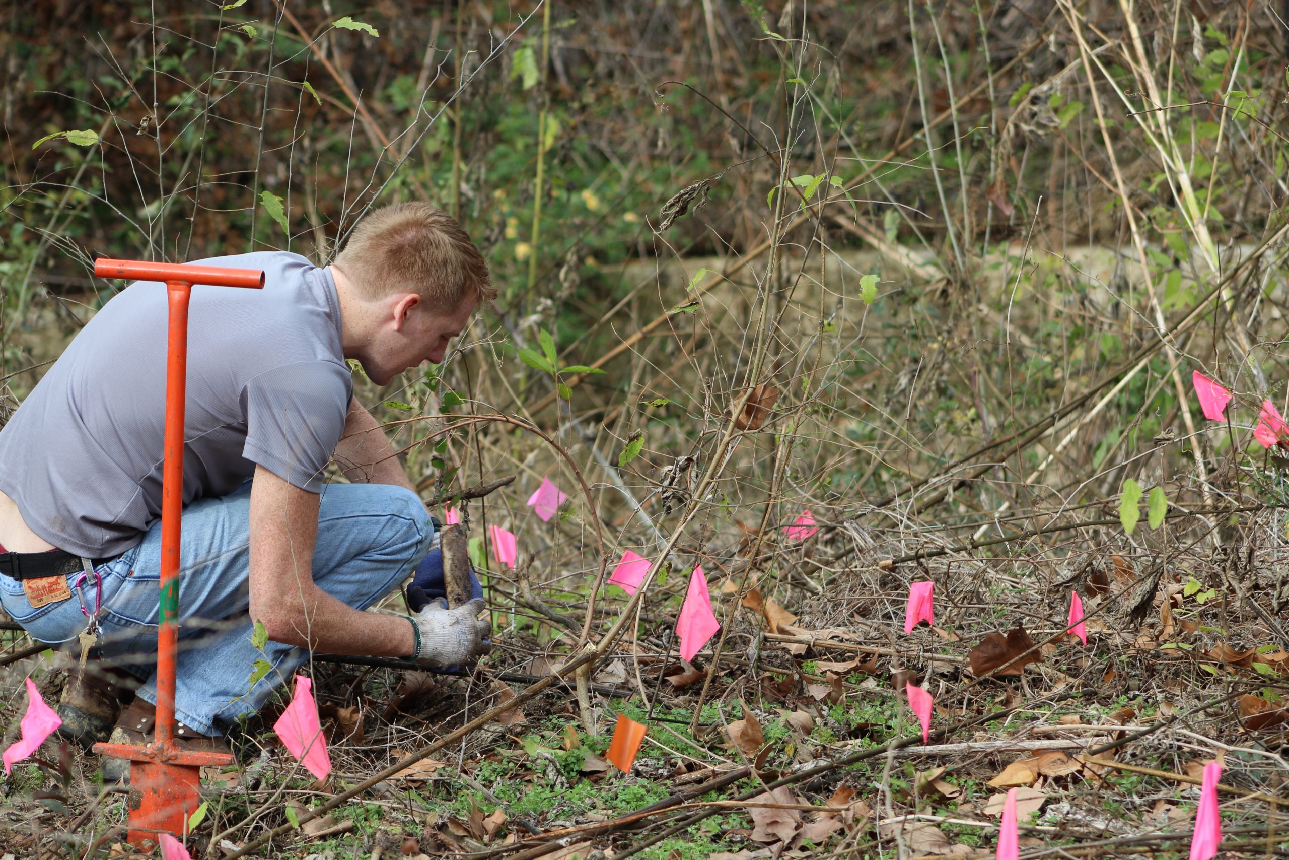 Ready, Set, Plant! - TreeFolks
