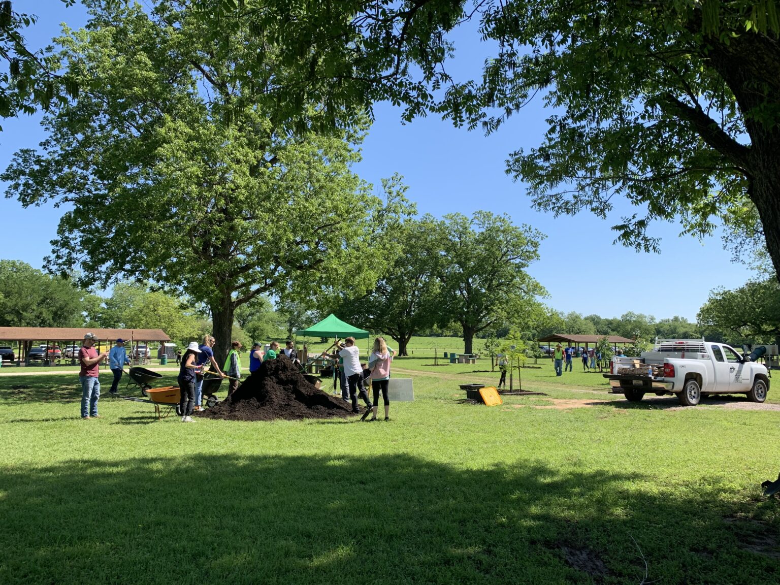 Community Tree Plantings - TreeFolks