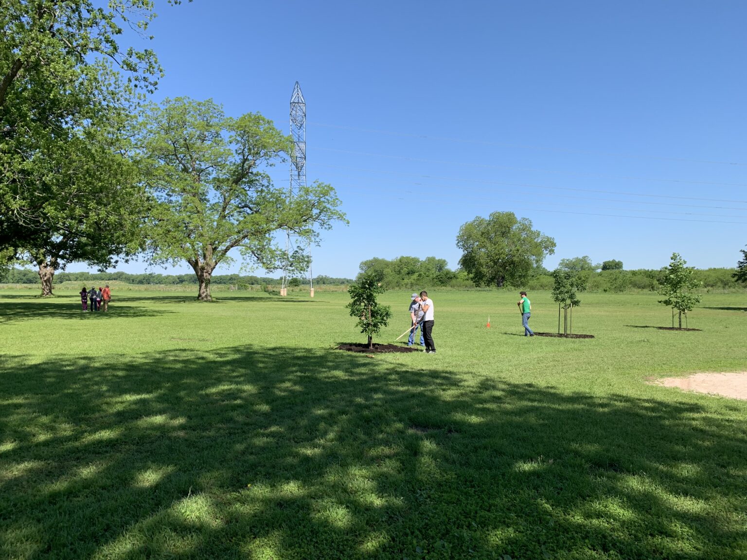 Community Tree Plantings - TreeFolks