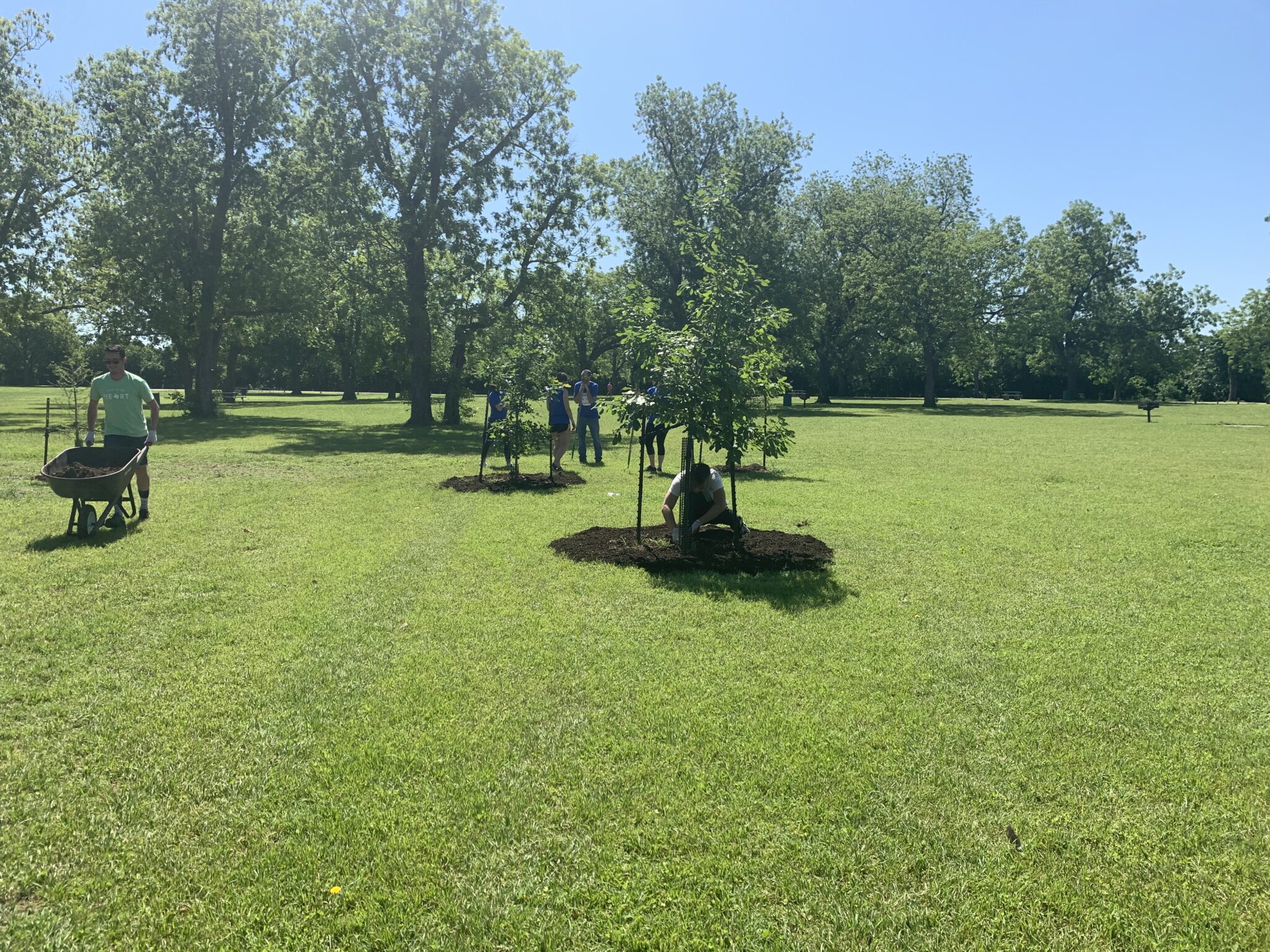 Community Tree Plantings - TreeFolks