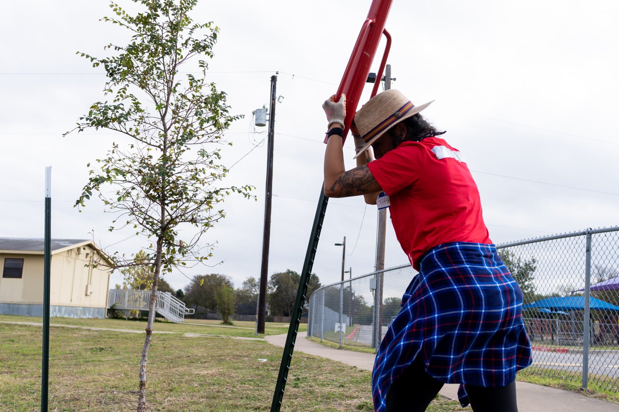 Volunteer with TreeFolks - TreeFolks