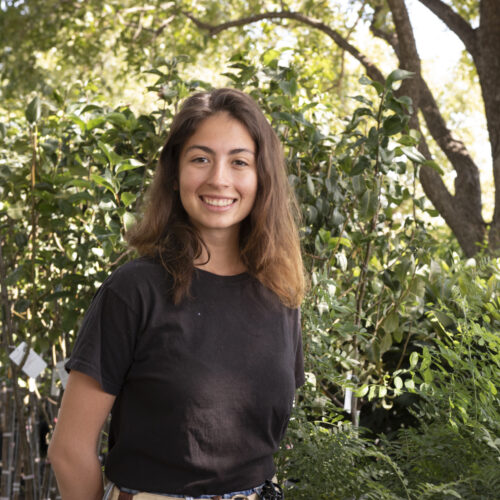 About TreeFolks - TreeFolks