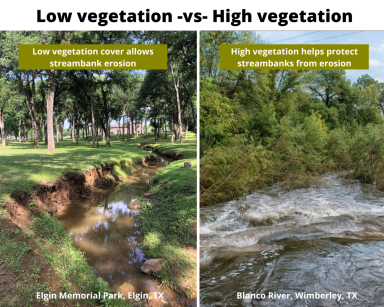 City of Austin Watershed Planting Projects - TreeFolks
