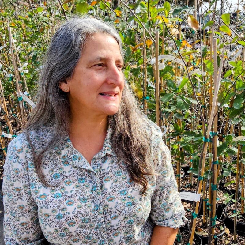 🌳 “Trees Are Infrastructure” | A Conversation with City Planner and ...